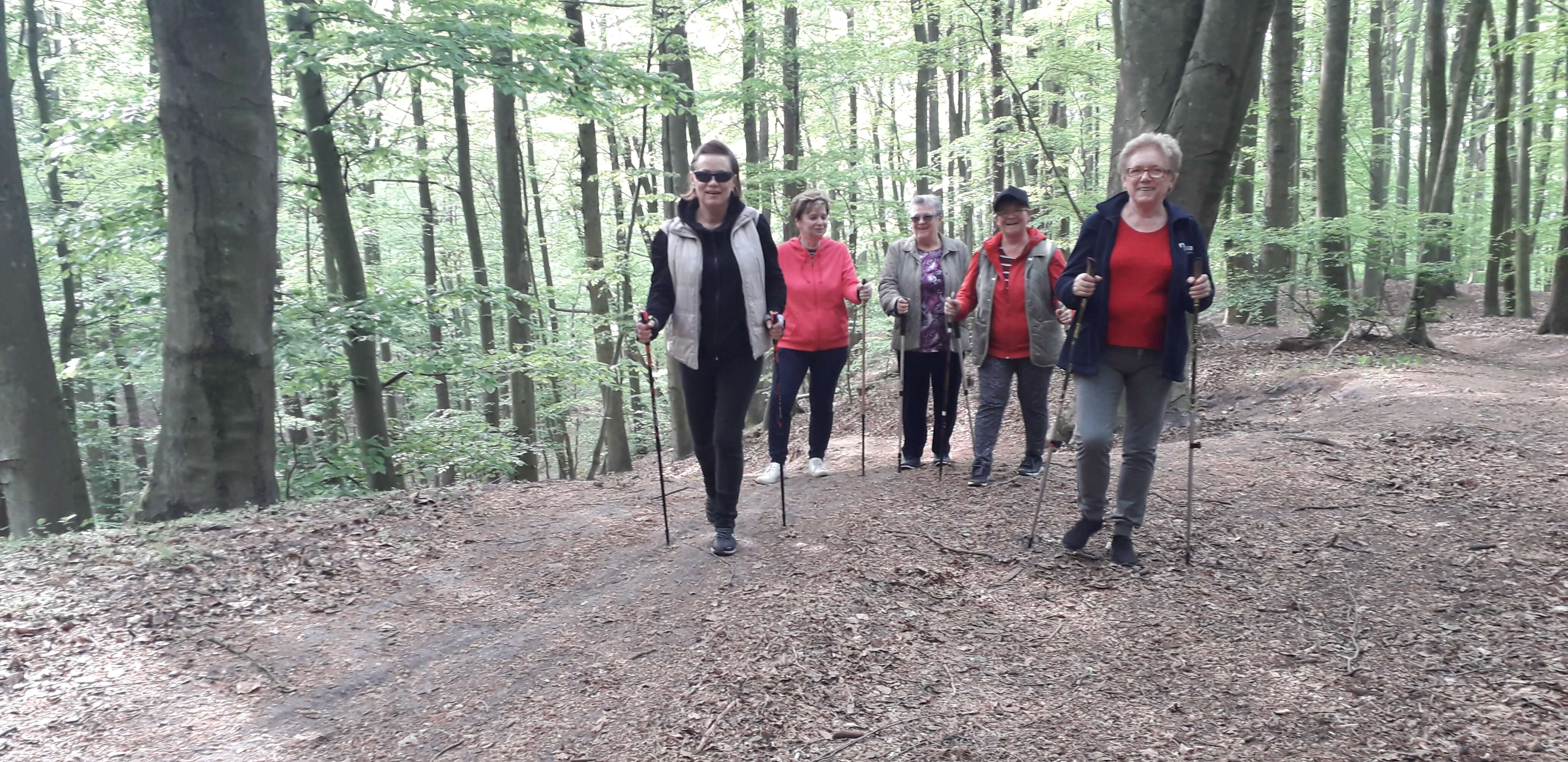 Stowarzyszenie "Polickie Amazonki" realizuje program "Rusz po zdrowie ...